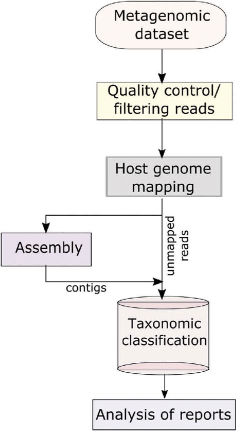 Bioinformatic Workflow For Viral Metagenomics The Main Bioinformatics