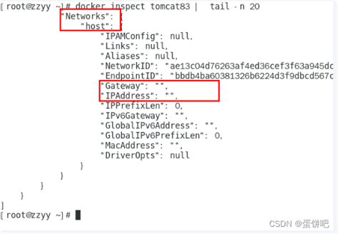 【docker网络docker network】 docker 设置network csdn博客