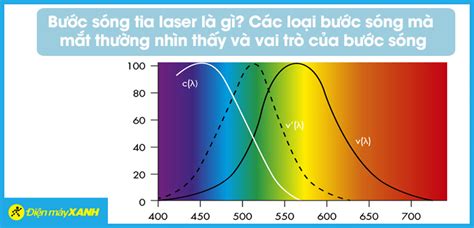 Review bước sóng là gì Vai trò của các loại bước sóng nhìn thấy được