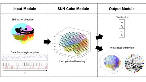 eeg data modelling knowledge engineering and discovery research institute aut