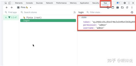 Chrome Vue