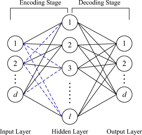 autoencoder network for feature selection the blue dotted lines mean download scientific