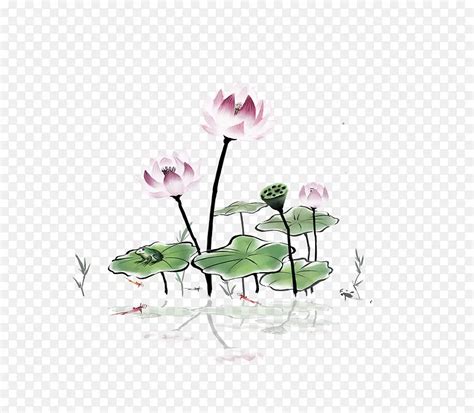 荷花PNG图片素材下载 图片编号8239362 PNG素材网