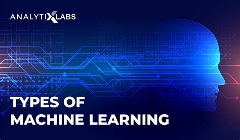 types of algorithms with different machine learning algorithm examples