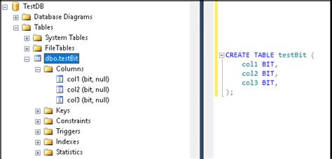 Bit Boolean Data Type In SQL Server TekTutorialsHub
