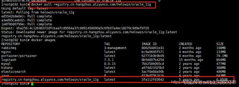 docker安装oracle 11g的方法 docker安装oracle11g csdn博客